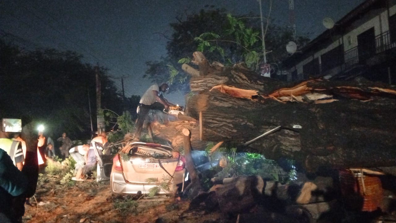 Kotobabi: One injured after tree falls on car amid rainstorm - Channel1 ...