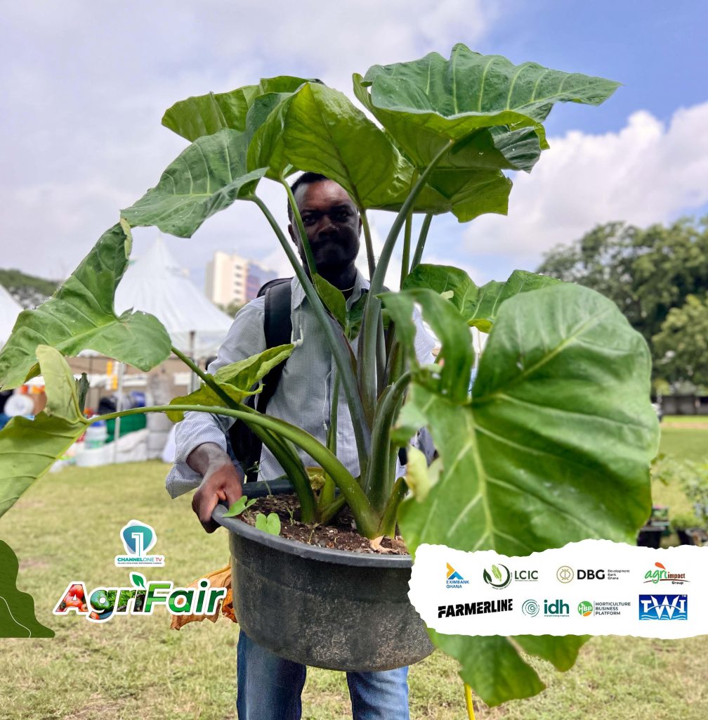 Momentum builds as Channel One TV’s AgriFair enters day two after ...